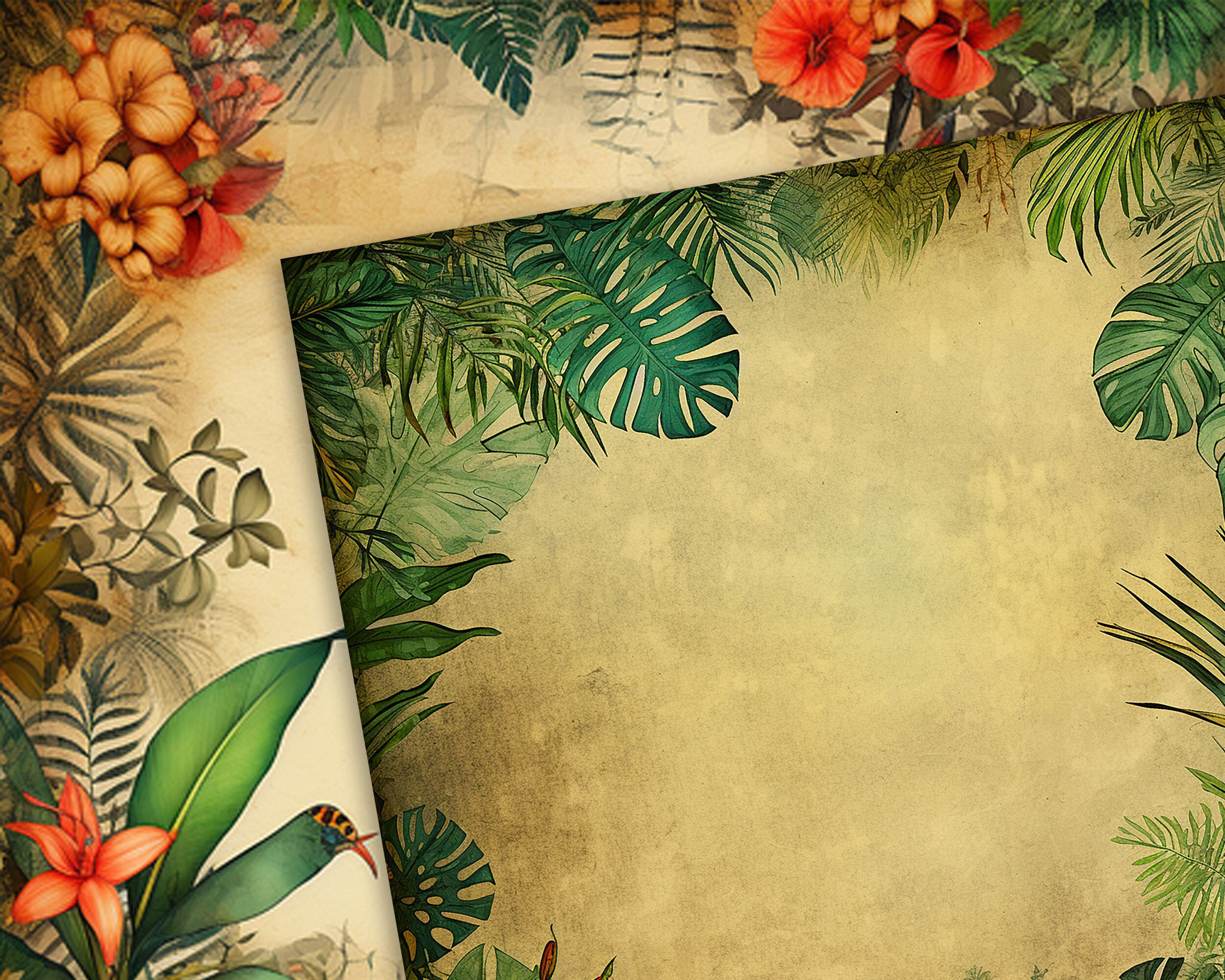 Vintage Tropical Jungle Borders Digital Papers - Etsy