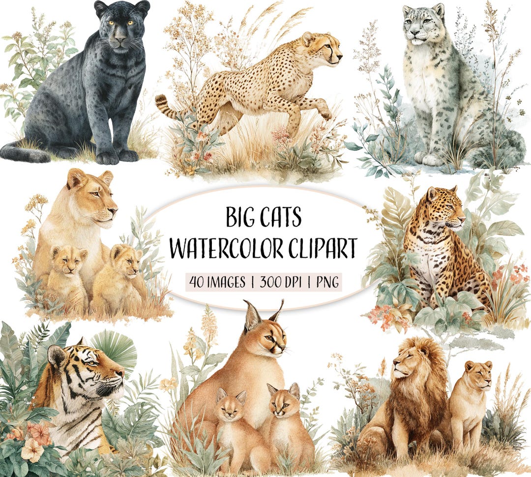 Watercolor Big Cats Clipart, Lion, Tiger, Leopard, Cheetah, Panther ...
