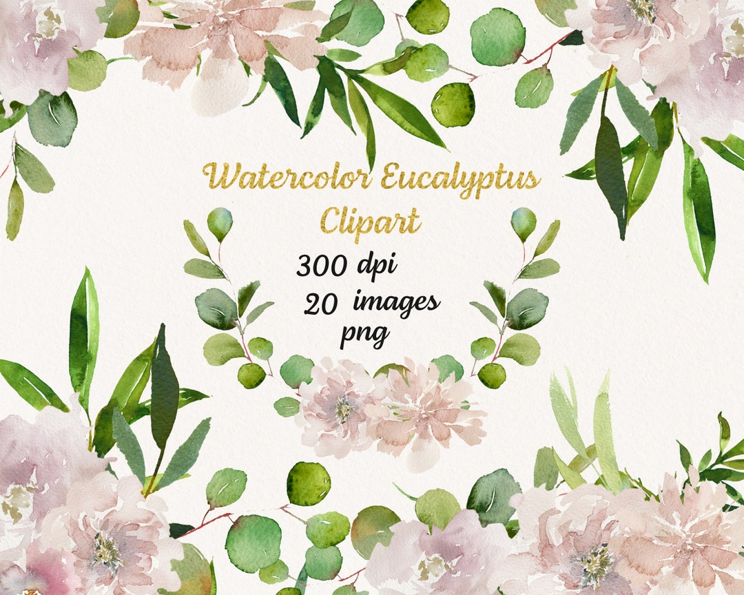Watercolor Eucalyptus Clipart - Etsy