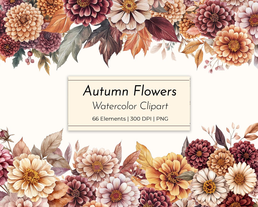 Autumn Watercolor Flowers Clipart: Fall Floral PNG Set (chrysanthemum ...