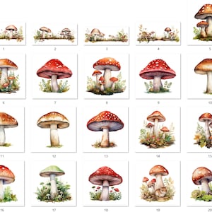 Watercolor Woodland Mushrooms Clipart, Printable Watercolor Mushrooms ...