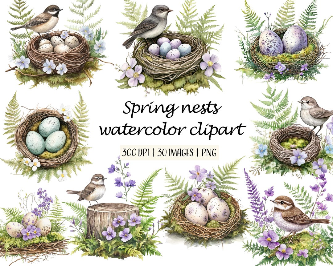 Watercolor Spring Nests Clipart, Birds, Nests, Eggs Clip Art, Printable ...