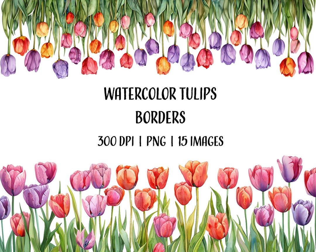 Watercolor Tulips Borders Clipart - Etsy