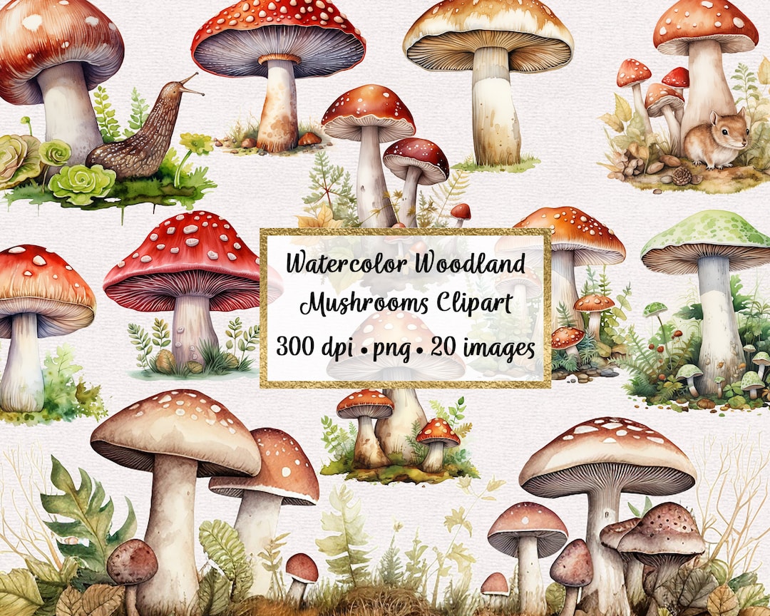 Watercolor Woodland Mushrooms Clipart, Printable Watercolor Mushrooms ...