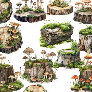 Watercolor Mushrooms, Moss and Wood Clipart, Commercial Use - Etsy