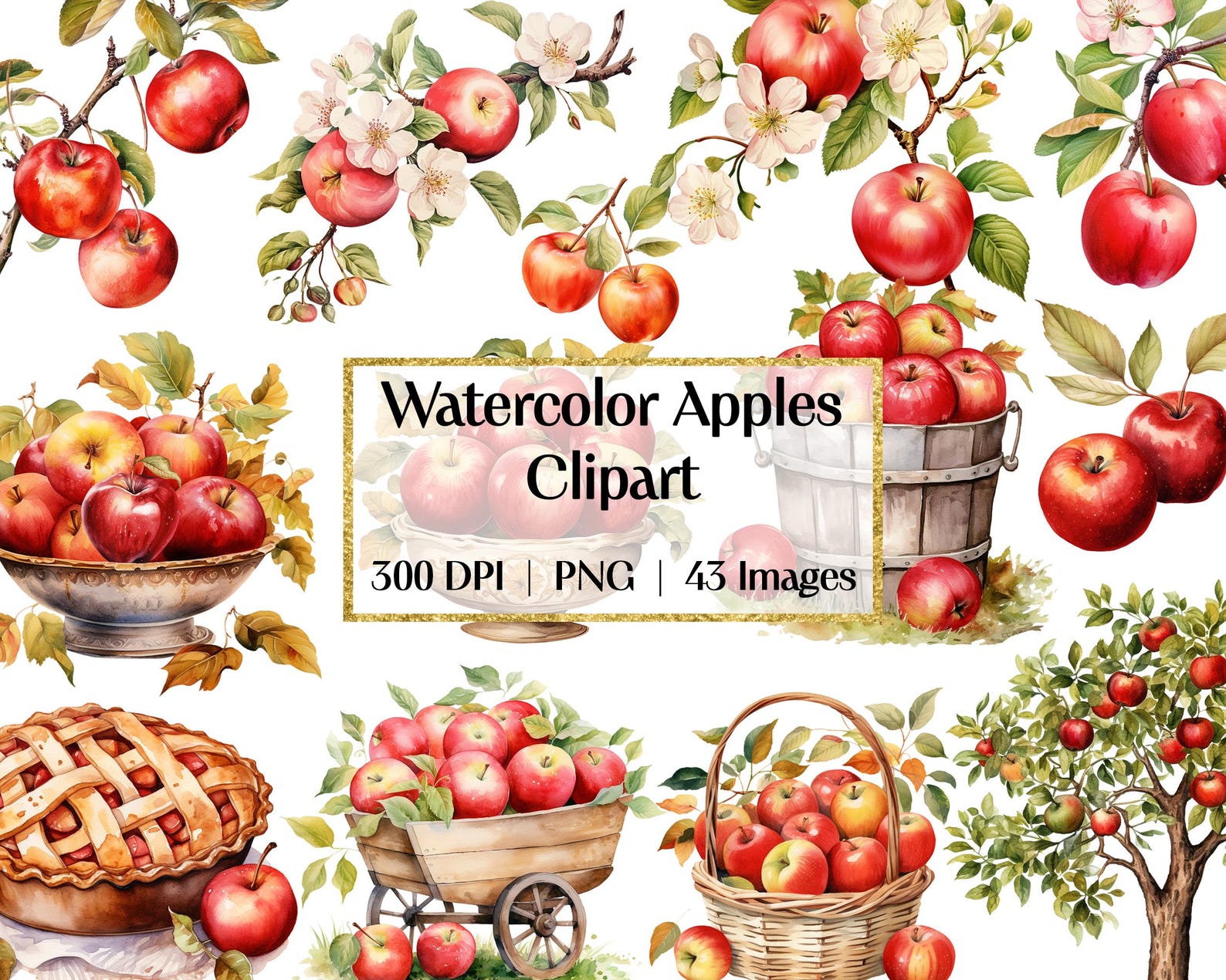 Watercolor Apples Clipart, Printable Apples Clip Art, Commercial Use - Etsy