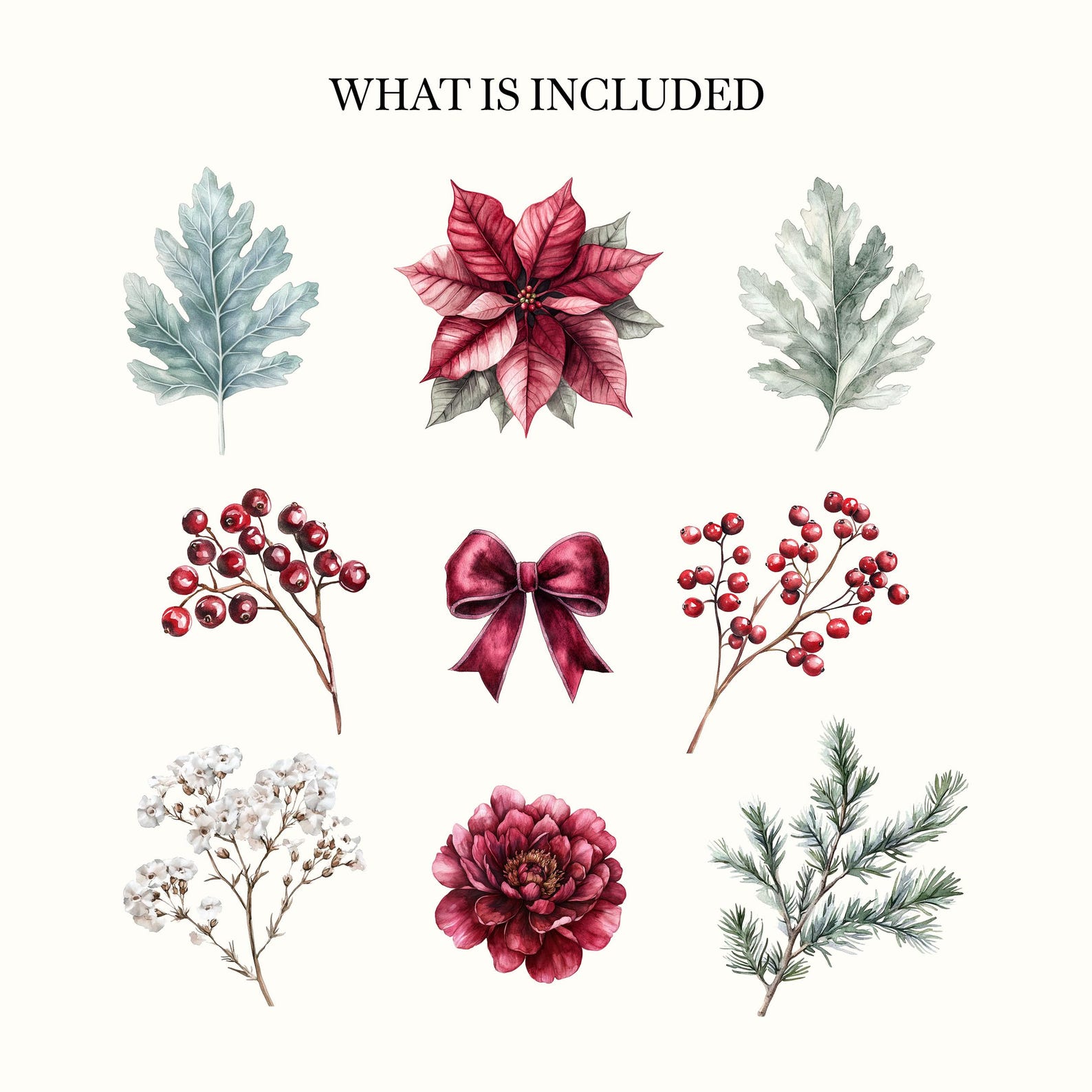 Watercolor Christmas Floral Clipart, Burgundy Poinsettia & Peony ...
