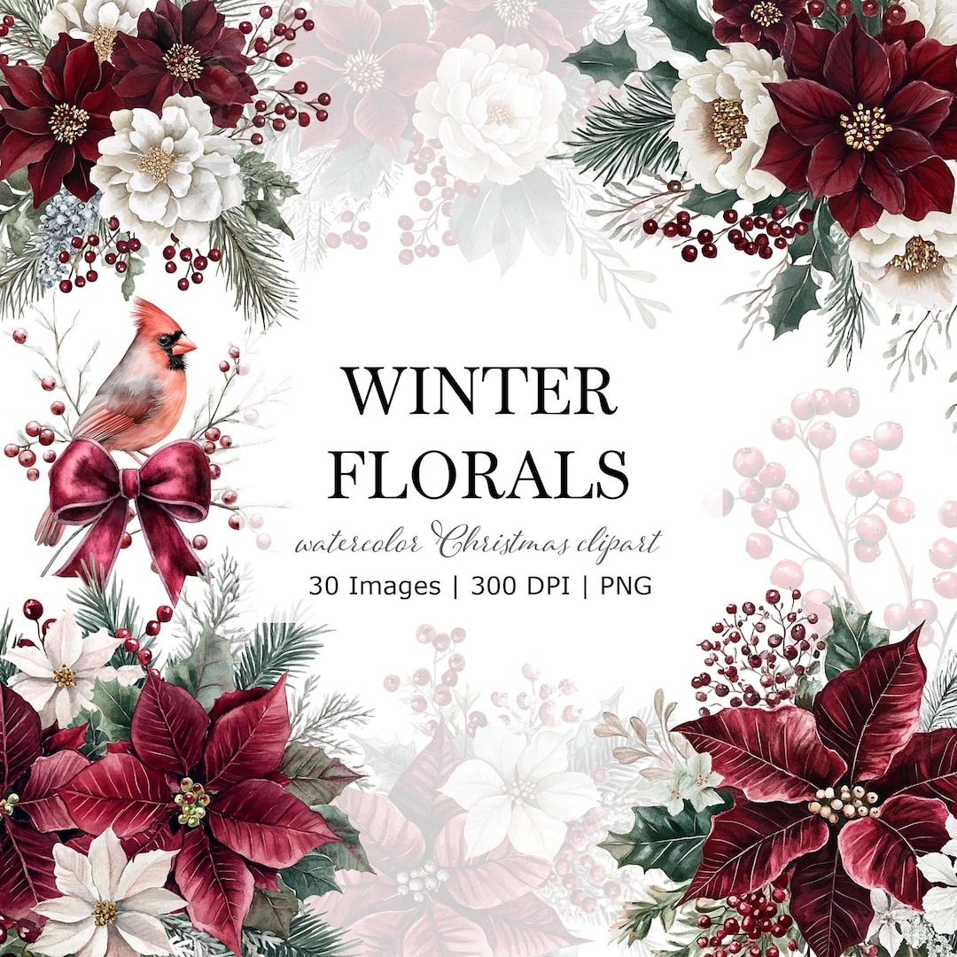Watercolor Christmas Floral Clipart, Burgundy Poinsettia & Peony ...