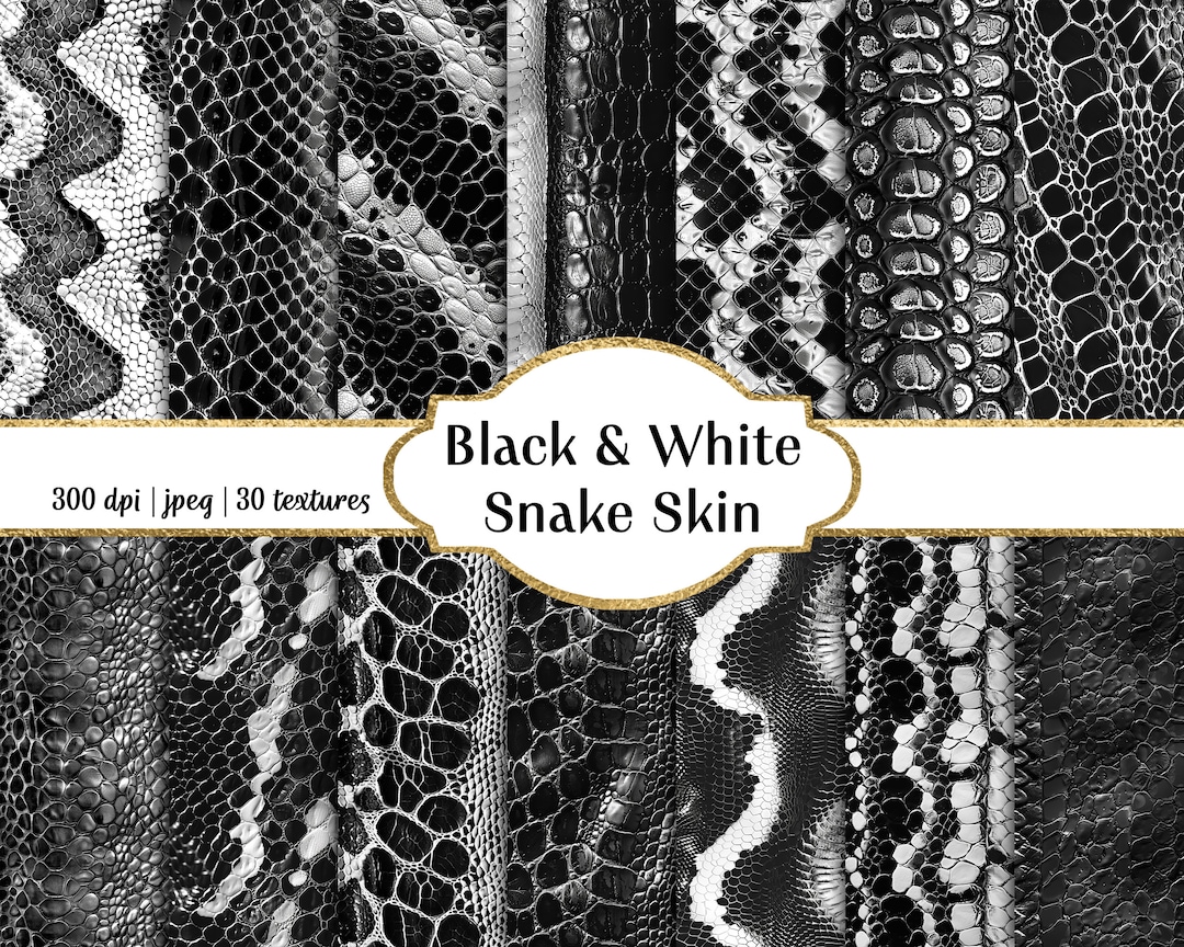Black and White Snake Skin Seamless Textures, Commercial Use - Etsy