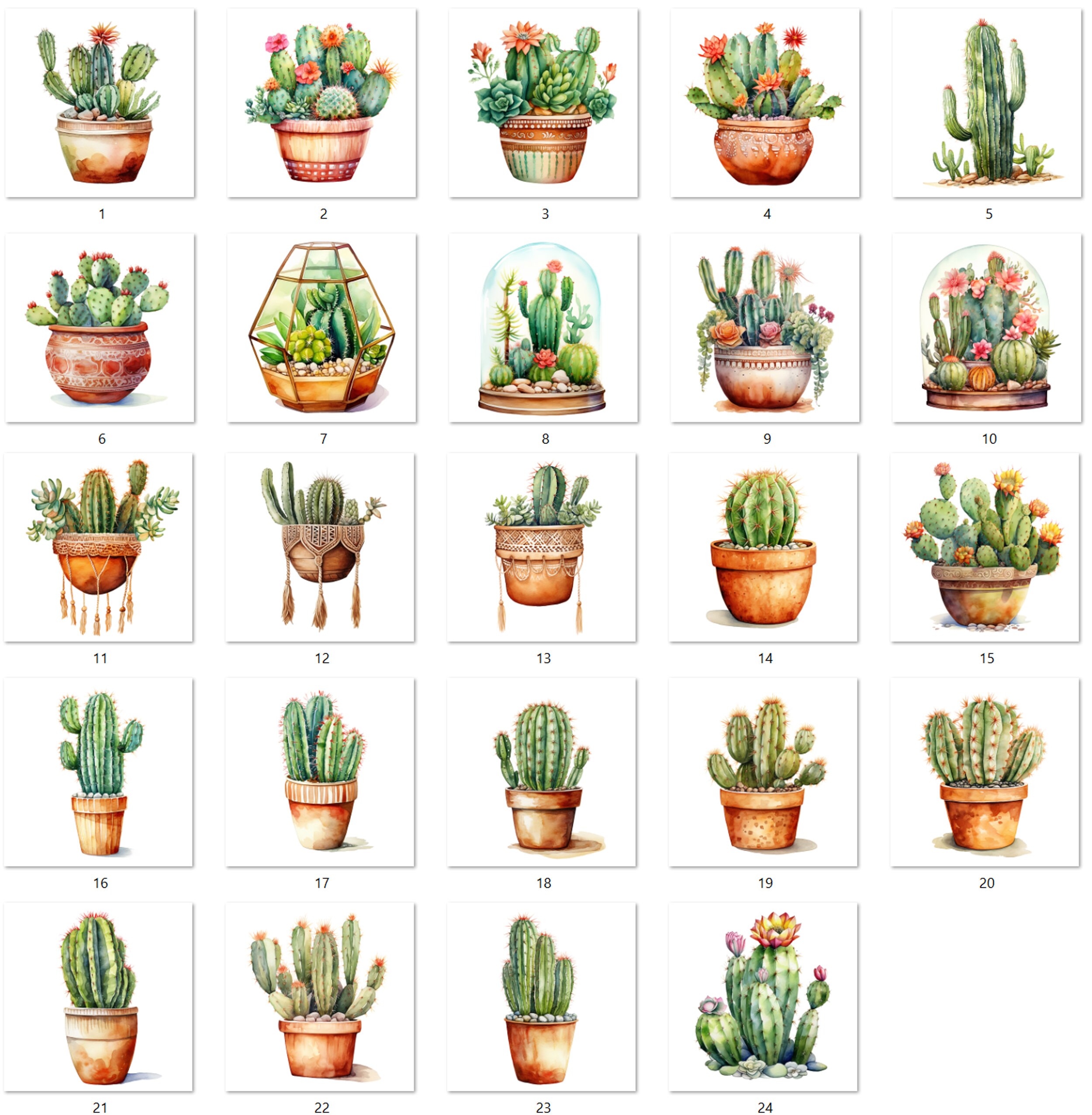 Watercolor Boho Cactus Plants Clipart - Etsy