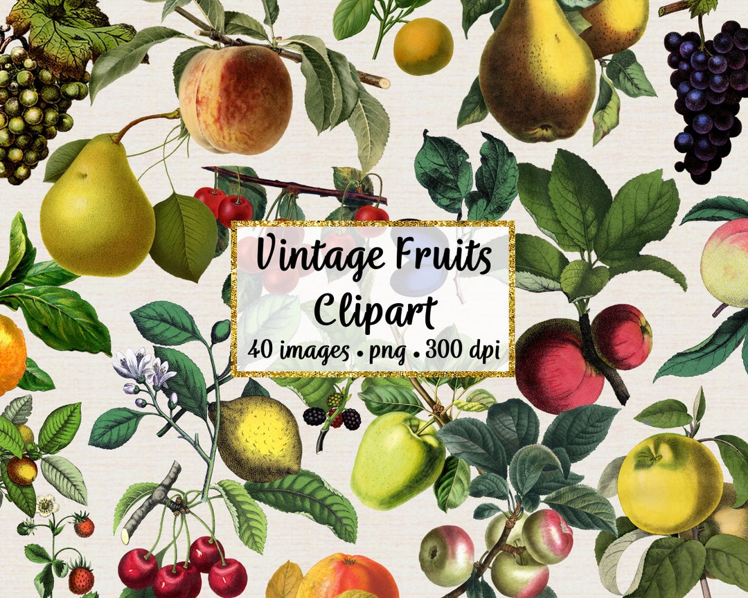 Vintage Fruits Clipart - Etsy