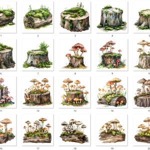 Watercolor Mushrooms, Moss and Wood Clipart, Commercial Use - Etsy