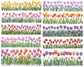 Tulip Borders Watercolor Clipart, Spring Flowers Clip Art, Flower ...