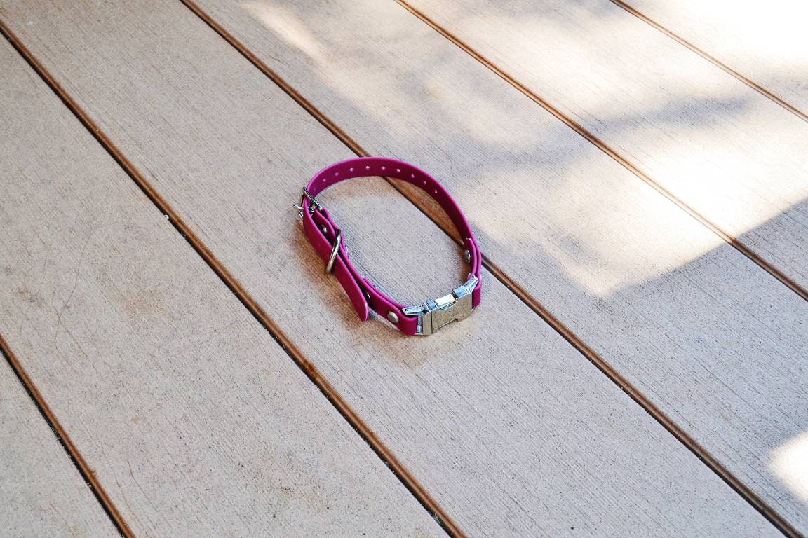 Biothane 3/4 Quick Release E-Collar Strap | Etsy