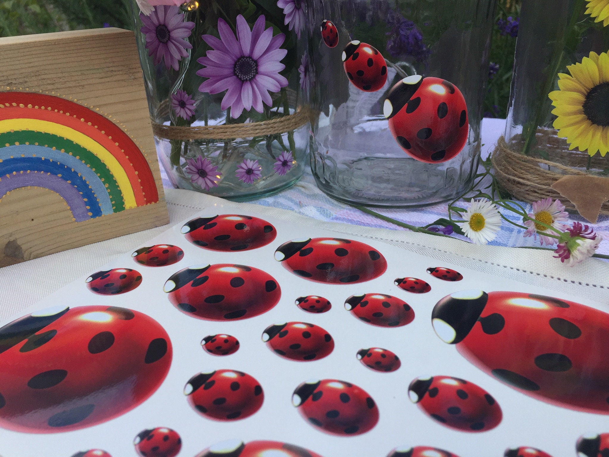 25 Ladybird Ladybug Car Stickers Vinyl Decals Graphics - Etsy