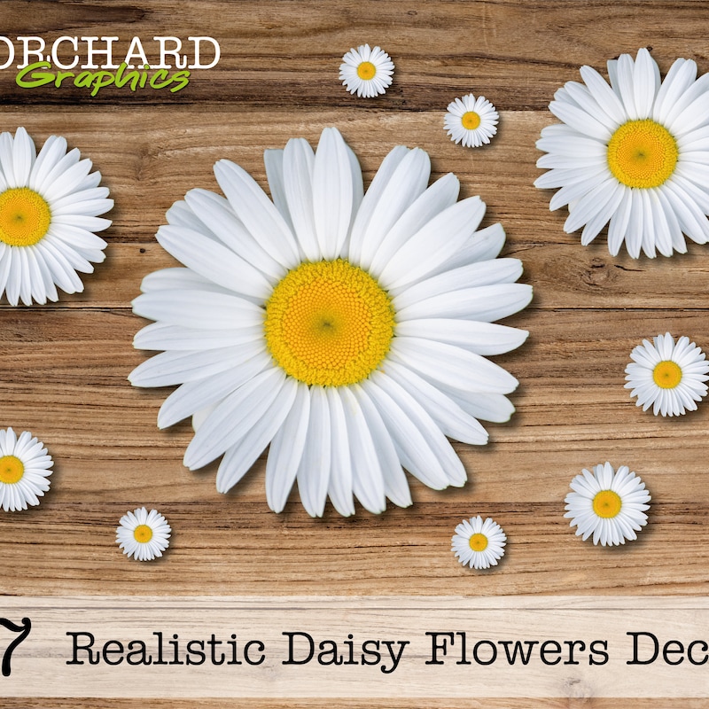 Daisy Flower Car Vinyl - Etsy UK