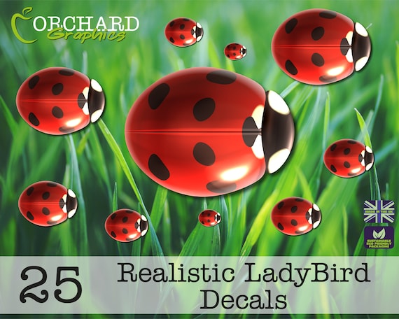 25 Ladybird Ladybug Car Stickers Vinyl Decals Graphics | Etsy