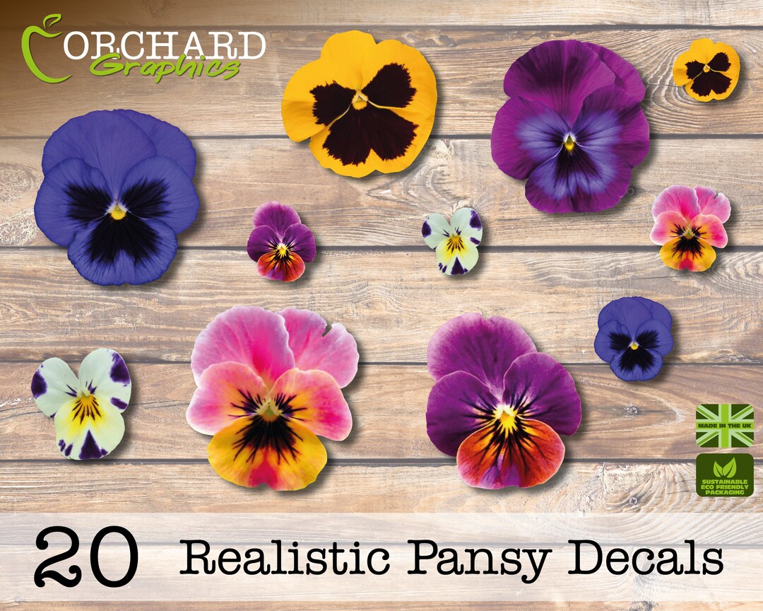 20 Pansy Pansies Flower Car Stickers | Vinyl Decals | Graphics ...