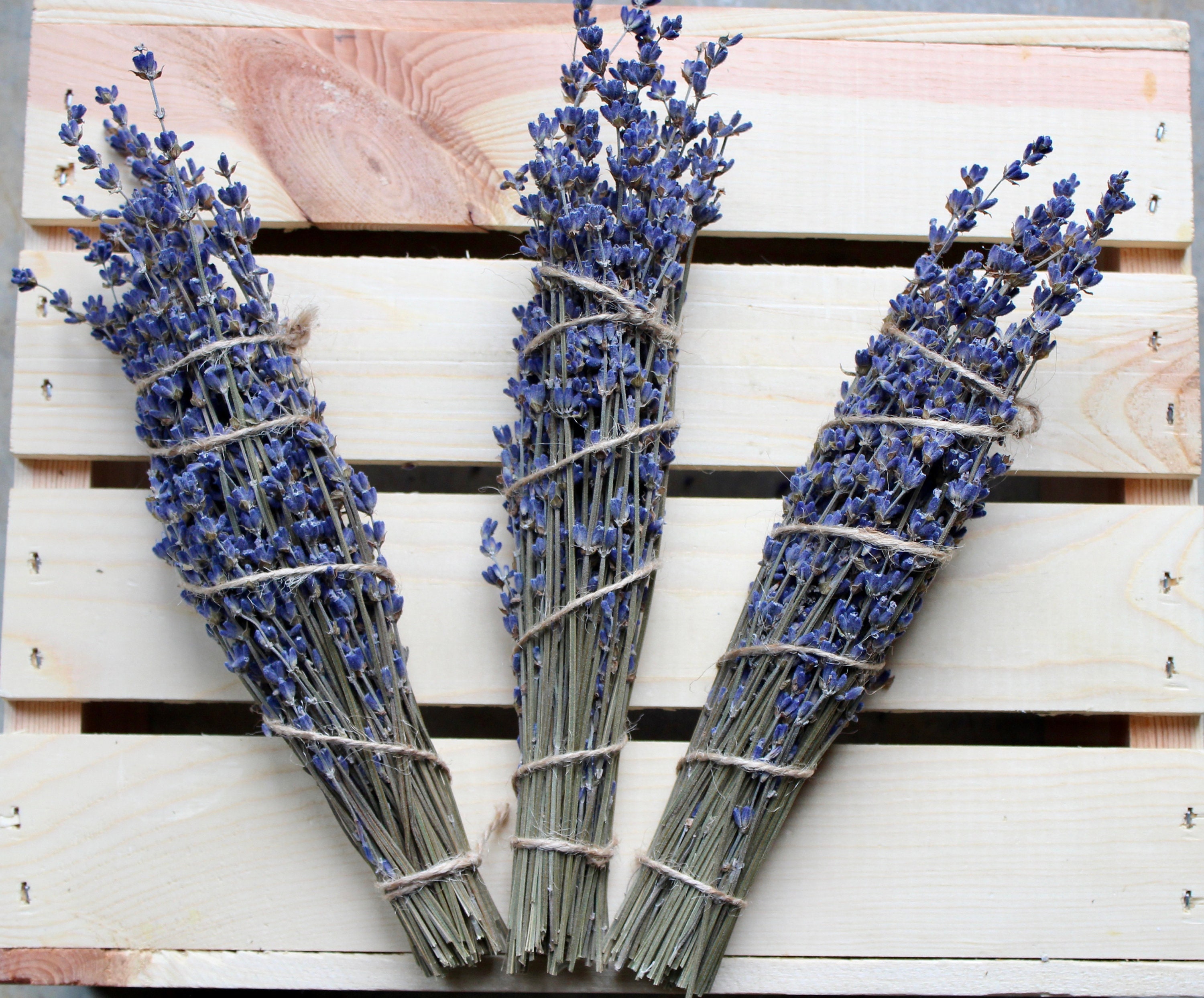 Lavender Smudge Sticks - Etsy