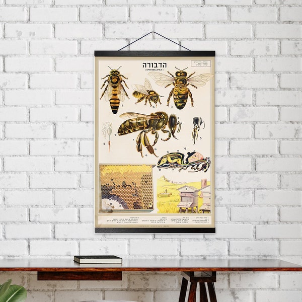 Honey Bee Poster - Etsy Canada