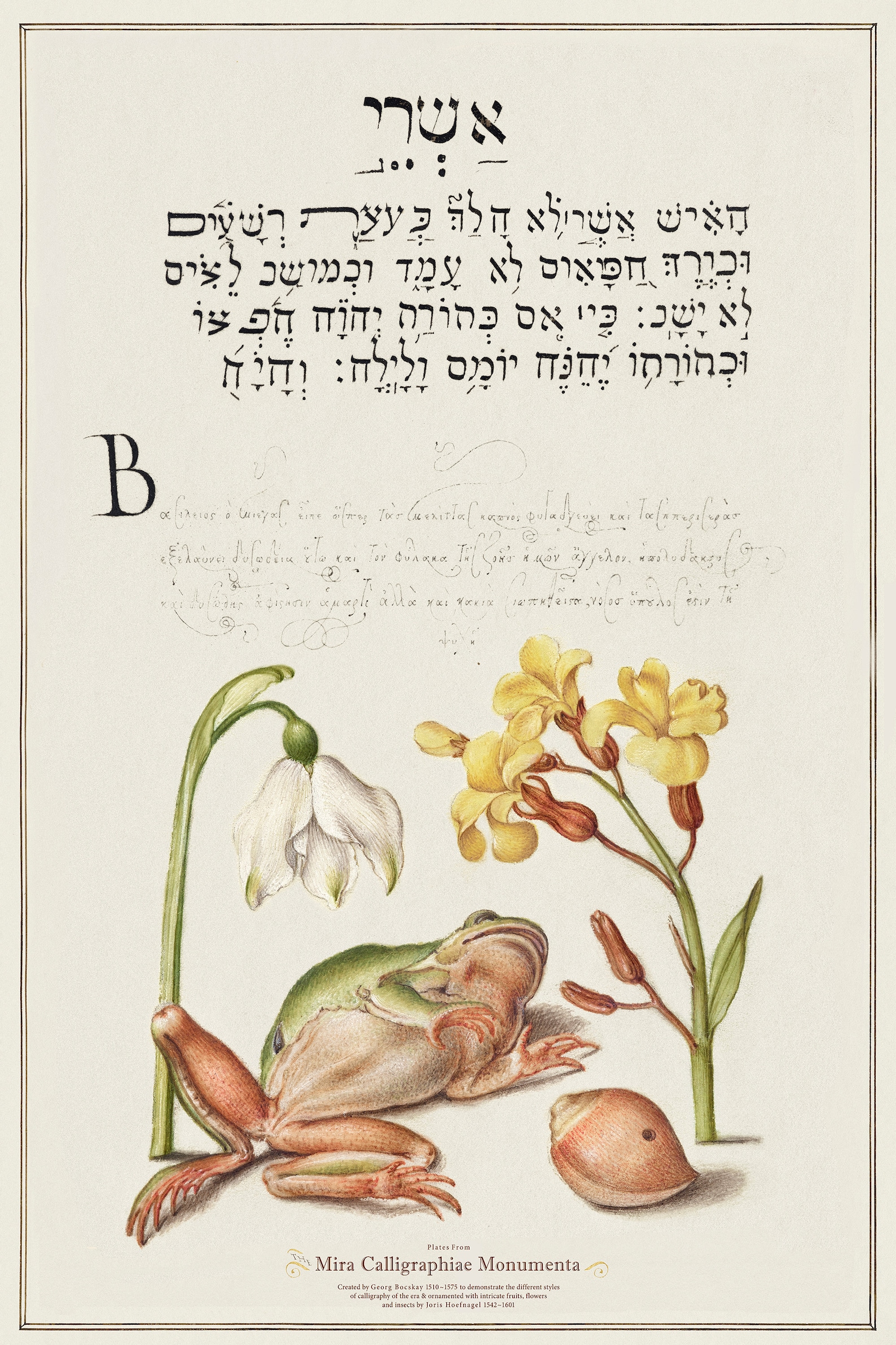 15th Century Calligraphy Art Poster With Floral & Insect Illustrations ...