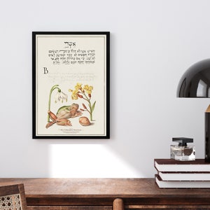 15th Century Calligraphy Art Poster With Floral & Insect Illustrations ...