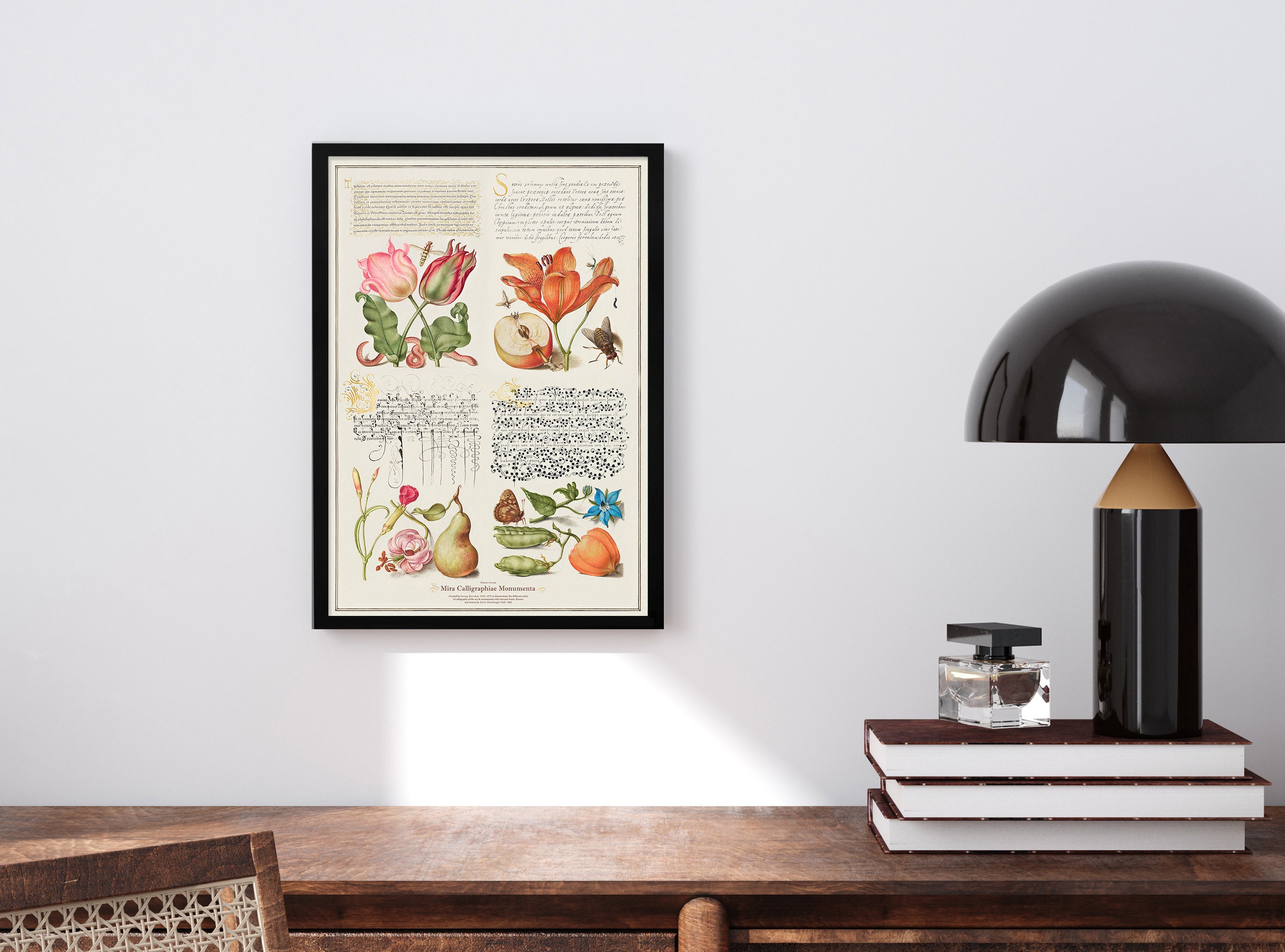 Vintage 15th Century Calligraphy Botanical Illustrations Poster, Joris ...
