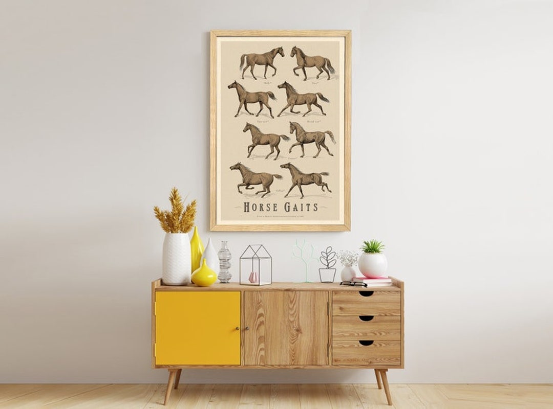 Horse Gait Poster, Equestrian Decor, Vintage Horse Poster, Farmhouse ...