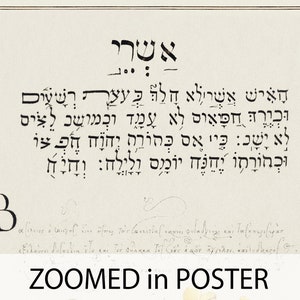 15th Century Calligraphy Art Poster With Floral & Insect Illustrations ...