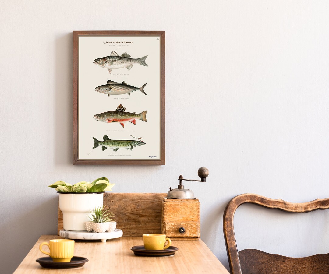 Vintage Fish Art Print – Fishes of North America by Sherman Denton ...