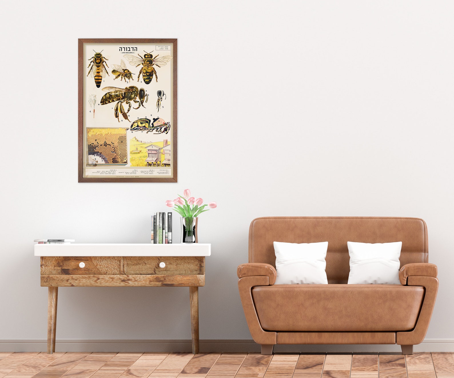 Authentic Western Honey Bee Educational Poster, Hebrew Text, Apis ...