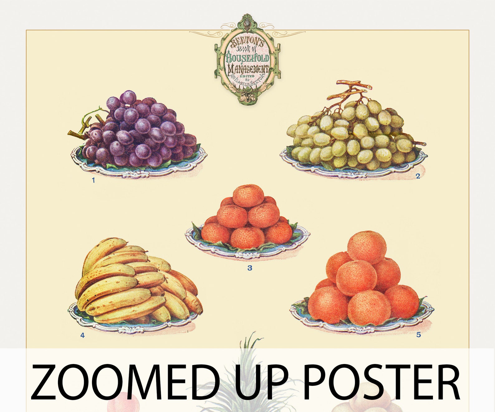Vintage Victorian Fruit Poster Isabella Beeton's Household Guide Art - Etsy