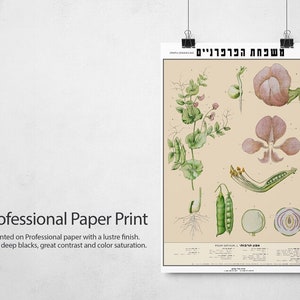 Boho Flower Wall Art, Boho Floral Poster, Neutral Simple Print ...