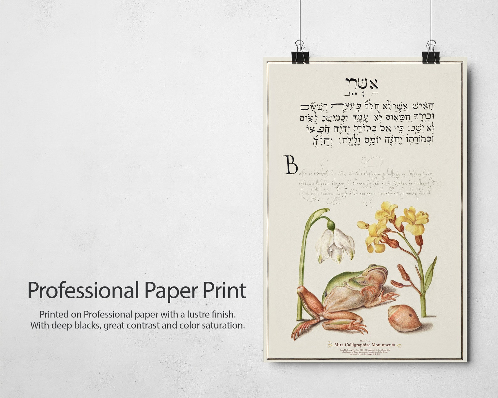 15th Century Calligraphy Art Poster With Floral & Insect Illustrations ...