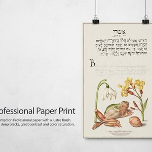 15th Century Calligraphy Art Poster With Floral & Insect Illustrations ...