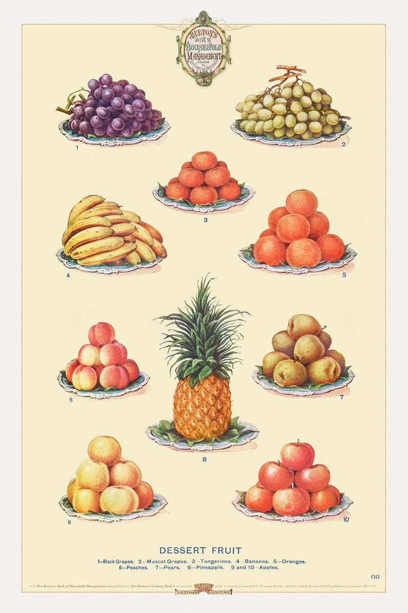 Vintage Victorian Fruit Poster Isabella Beeton's Household Guide Art - Etsy