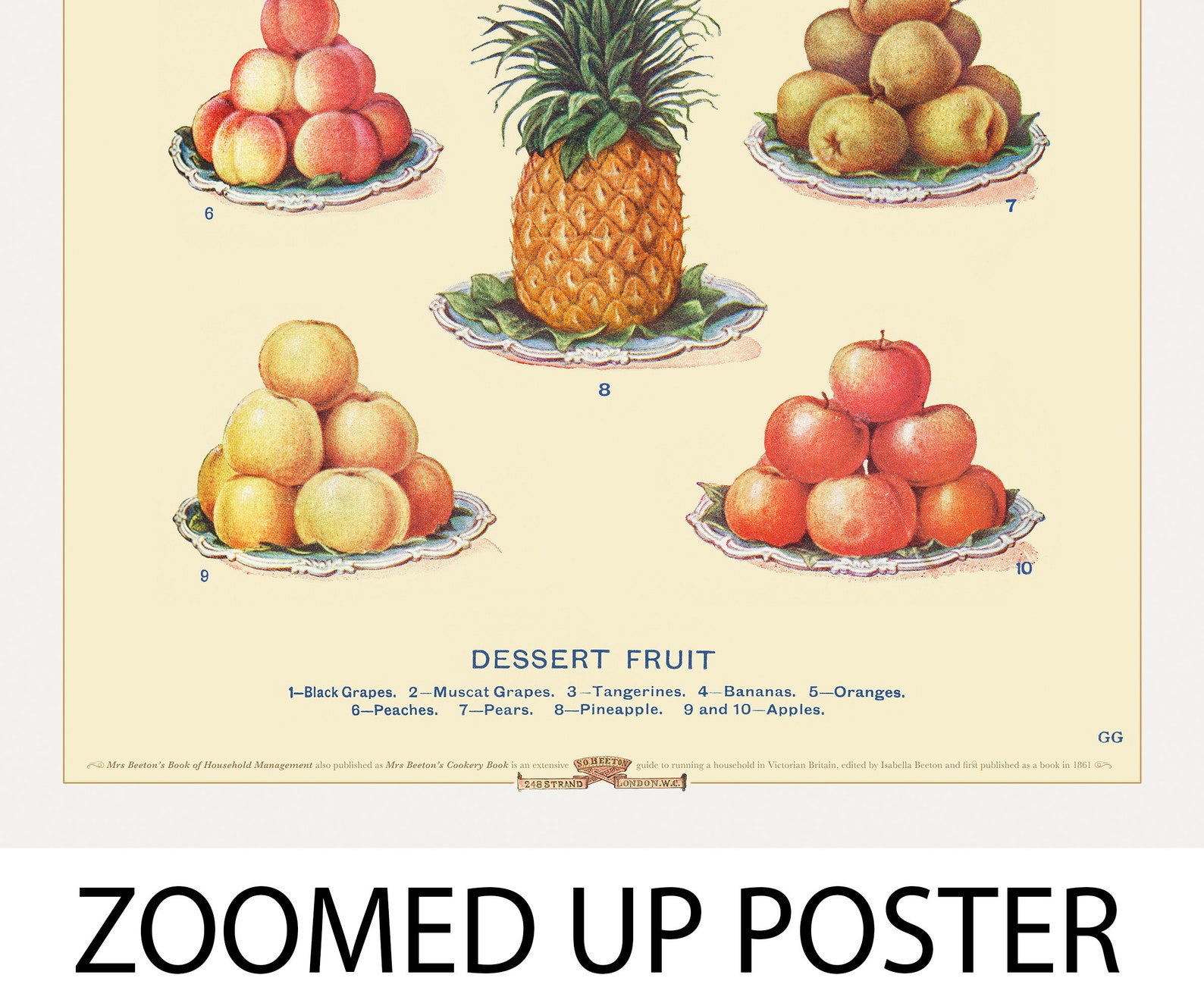 Vintage Victorian Fruit Poster Isabella Beeton's Household Guide Art - Etsy