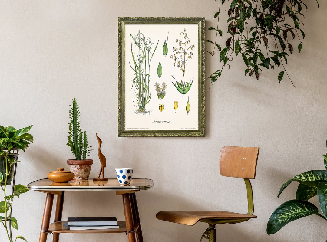 Antique Plant Poster Floral, Vintage Botanical Print Gallery Wall Art ...