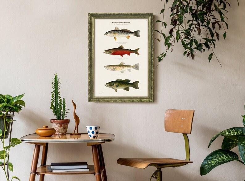 Vintage Fish Illustration Wall Art – Unframed or Framed Options for ...