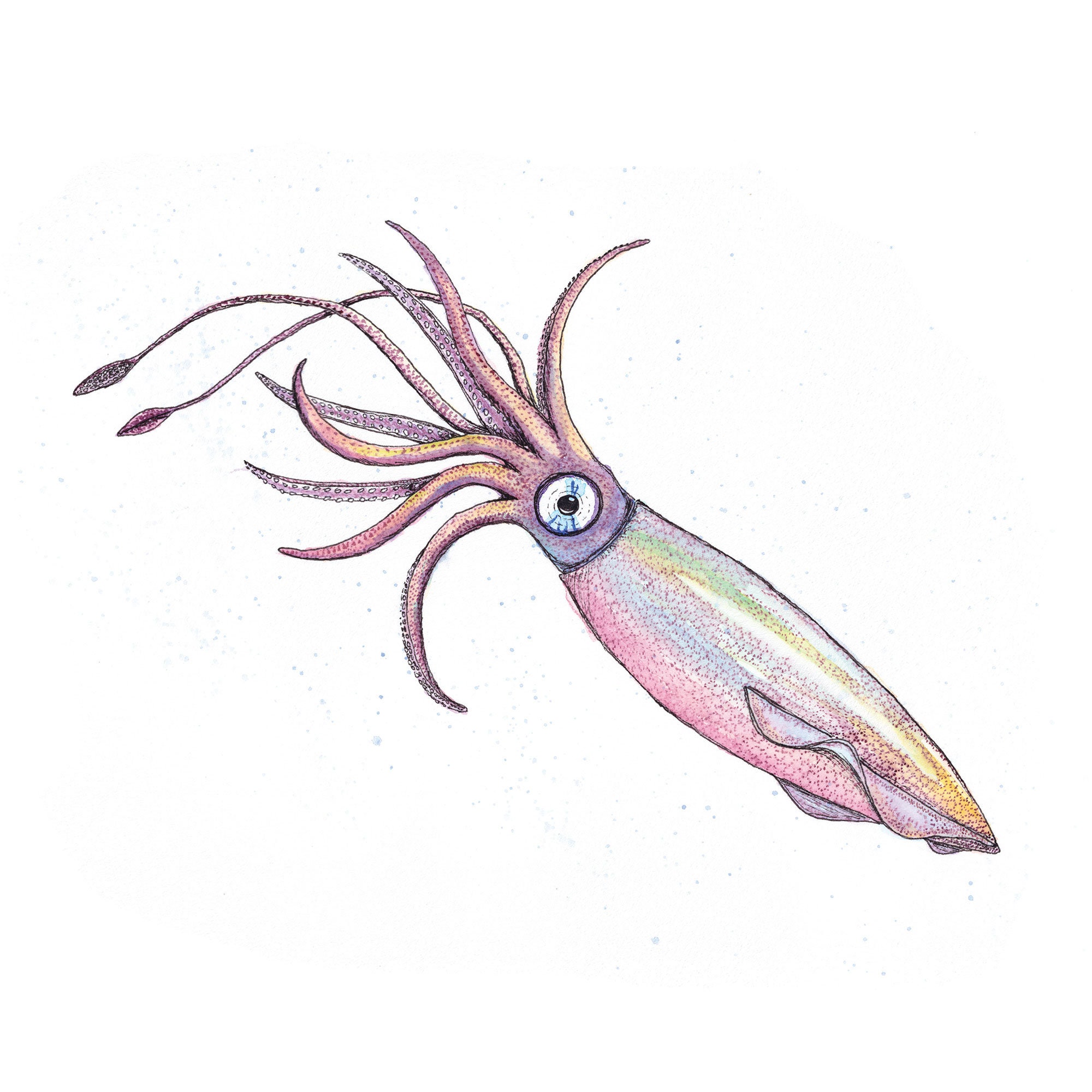Nautical Rainbow Squid Watercolor Downloadable Printable Coastal Beach ...