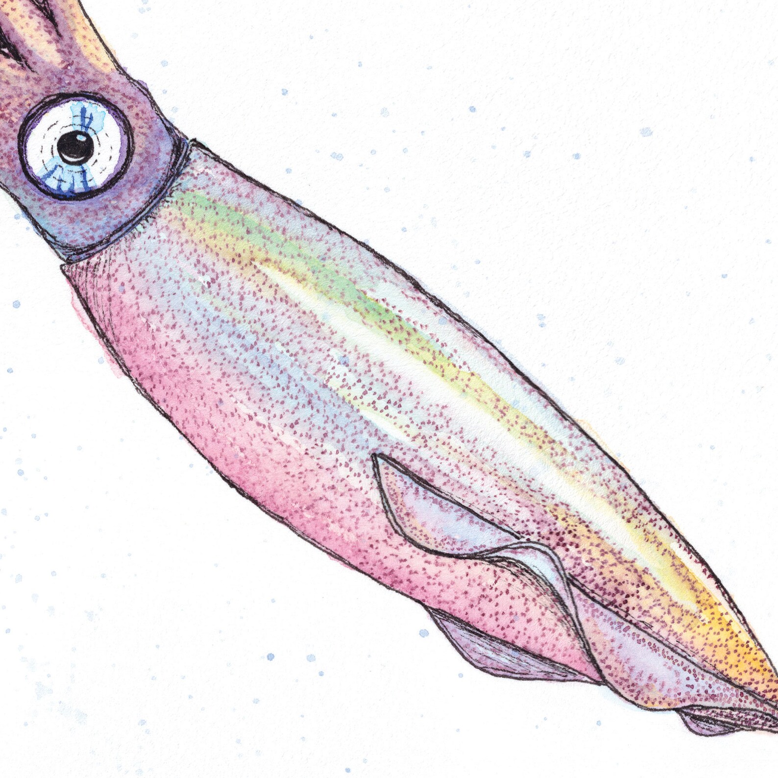 Nautical Rainbow Squid Watercolor Downloadable Printable Coastal Beach ...