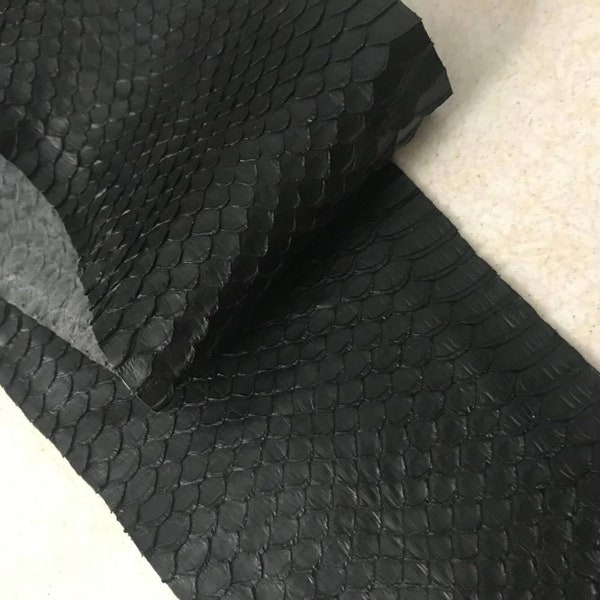 Real Snake Skin - Etsy