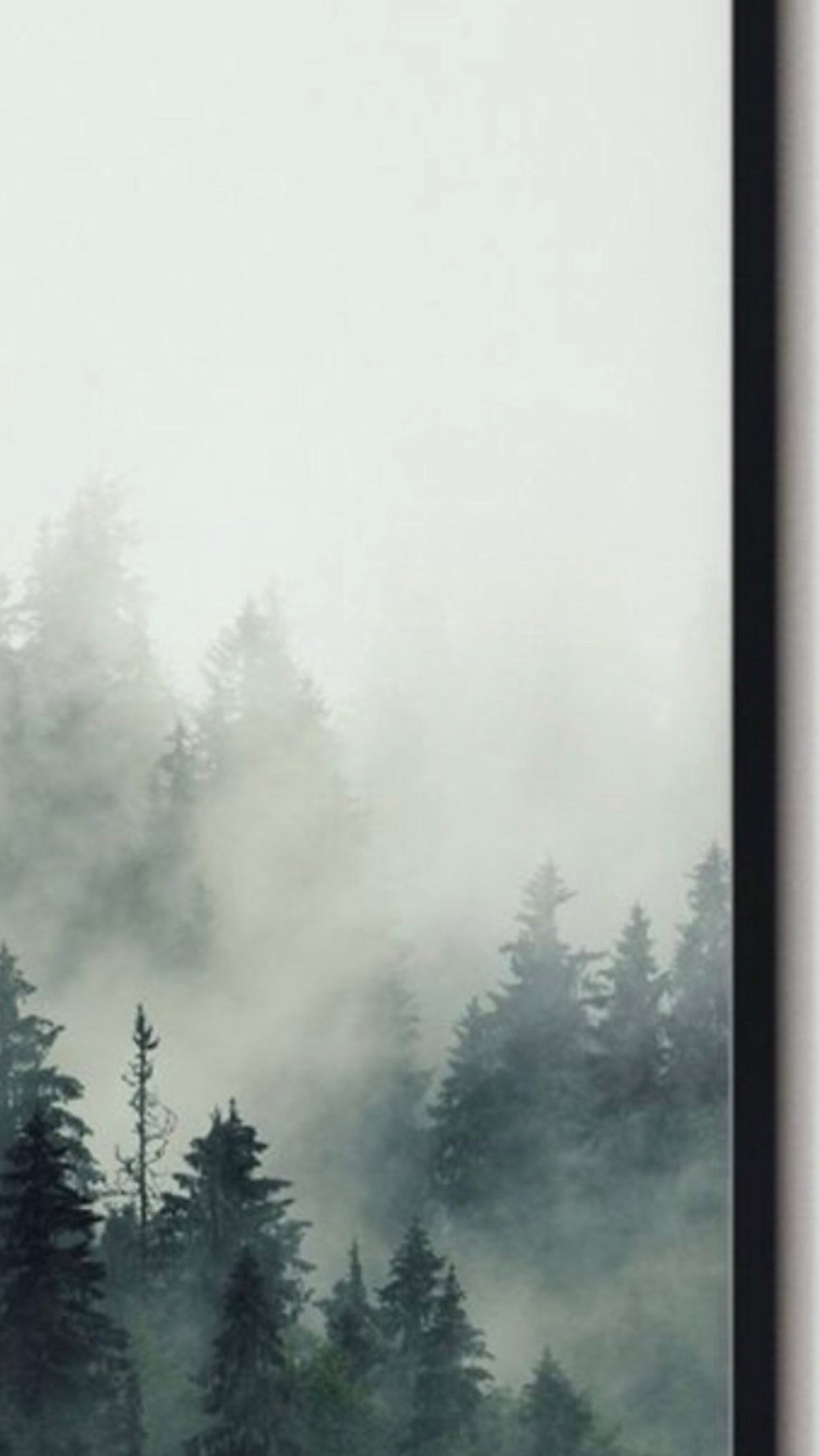 Pine Trees in Mist Foggy Pine Trees Painting Misty Forest - Etsy
