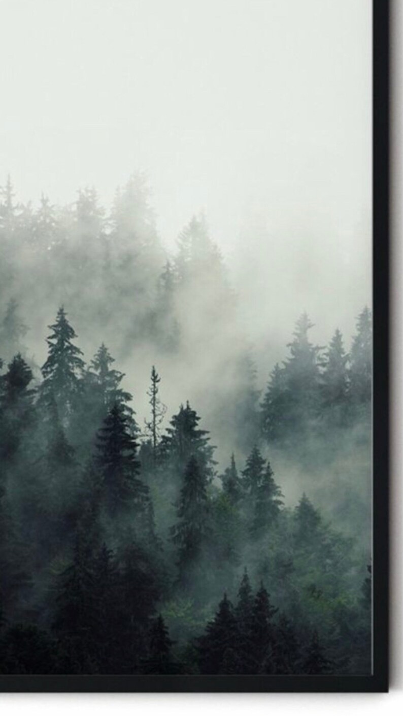 Pine Trees in Mist Foggy Pine Trees Painting Misty Forest - Etsy
