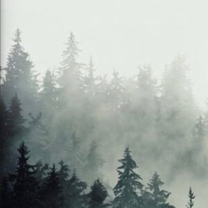 Pine Trees in Mist Foggy Pine Trees Painting Misty Forest - Etsy