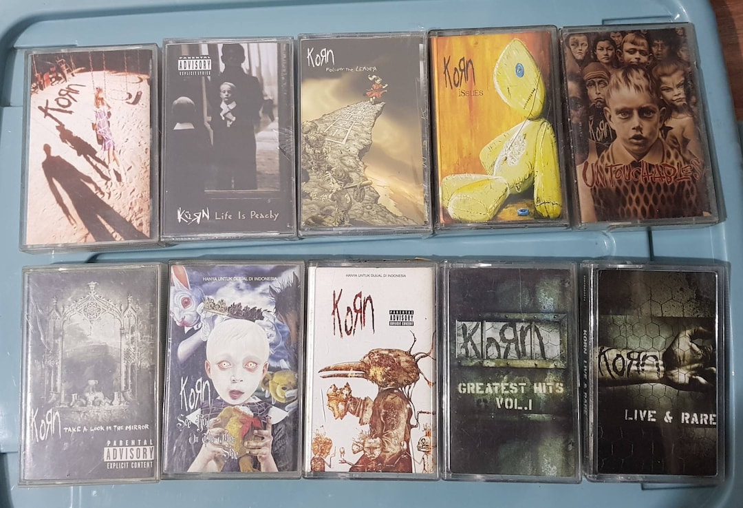 Korn Take A Look In The Mirror Album Cover