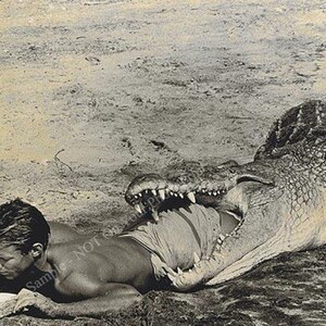 Alligator Eating Man Strange Vintage Photo Crocodile Weird Crazy Freaky ...