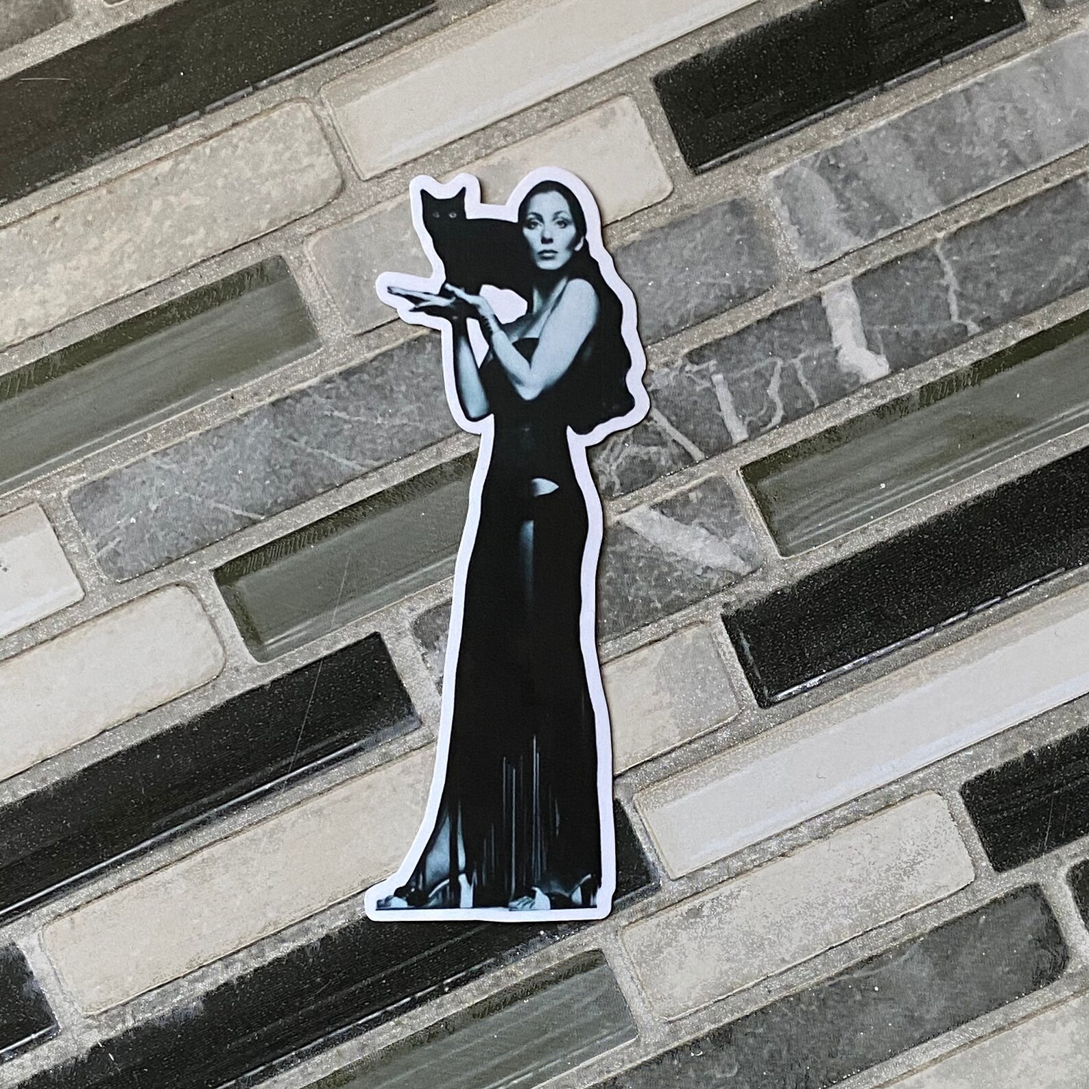 CHER Sticker Cher Sticker Dark Lady - Etsy
