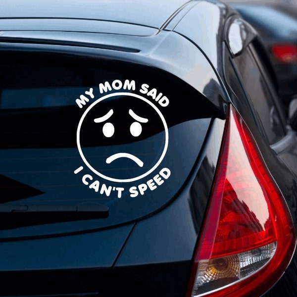 Funny Race Car Lover - Etsy