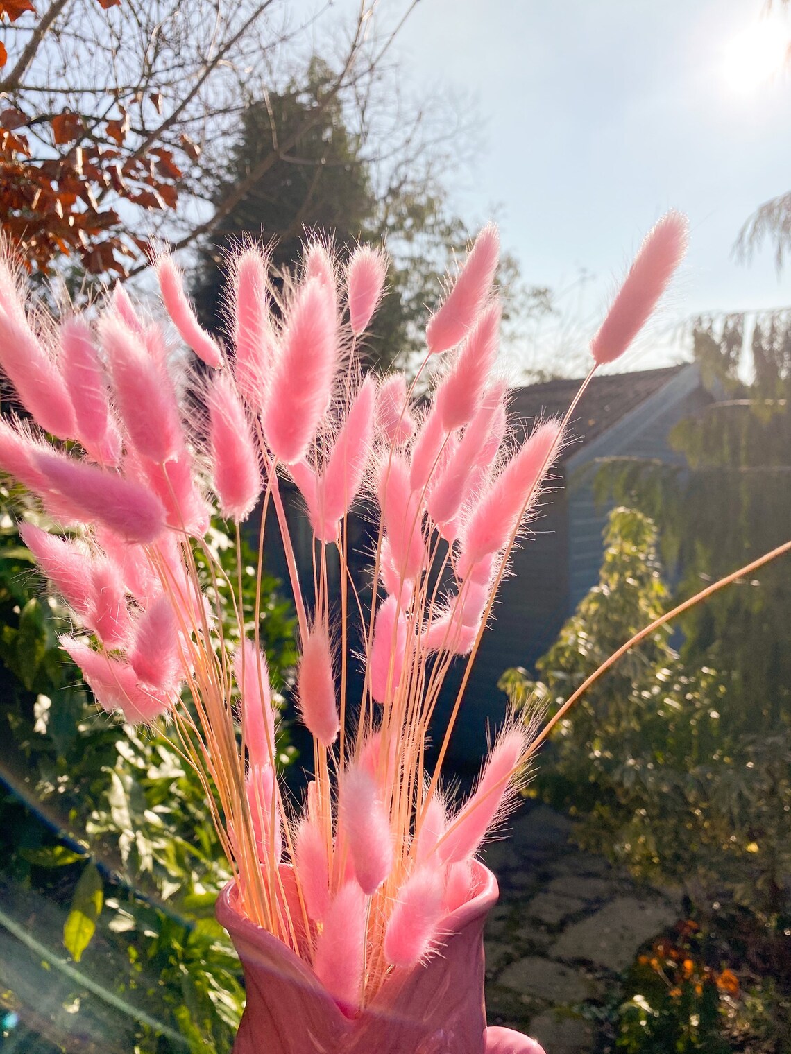 Baby Pink Bunny Tails Fluffy Bunny Tails Bouquet Dried - Etsy.de